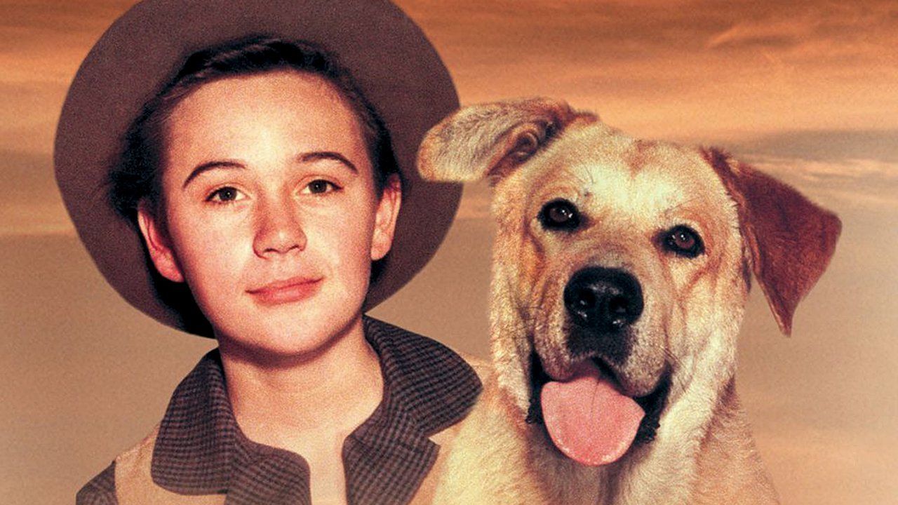 These Are the Best Dog Movies of All Time