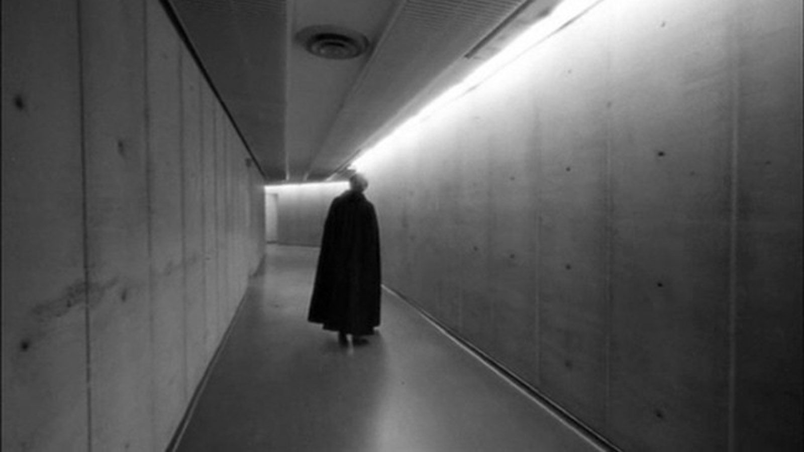 Best David Cronenberg Movies, Ranked