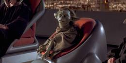 Explained What Is Yoda s Species Called 