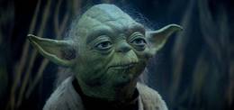 Explained What Is Yoda s Species Called 
