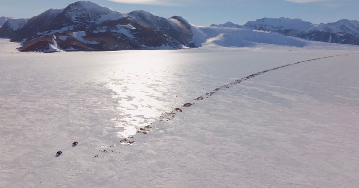 Exclusive: Zero Contact Stars Chris Brochu and Aleks Paunovic Talk ...