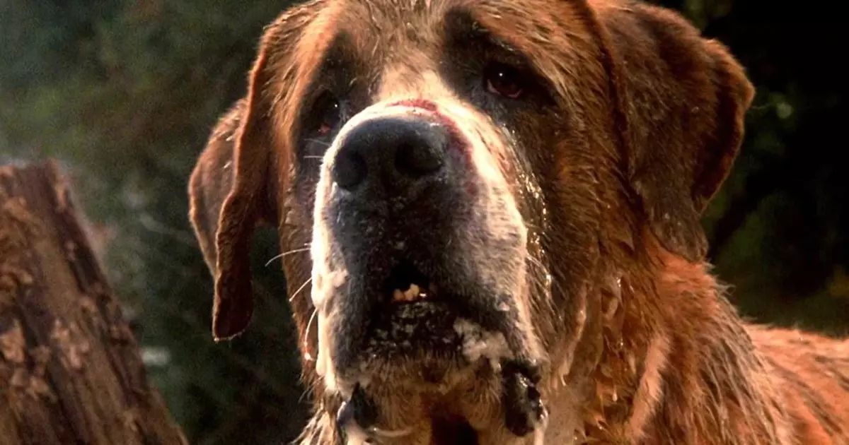 Here Is Every ‘80s Stephen King Adaptation, Ranked