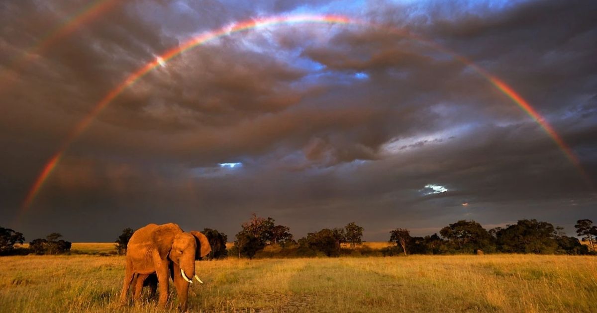 The Best Documentaries About Climate Change and Where to Watch Them