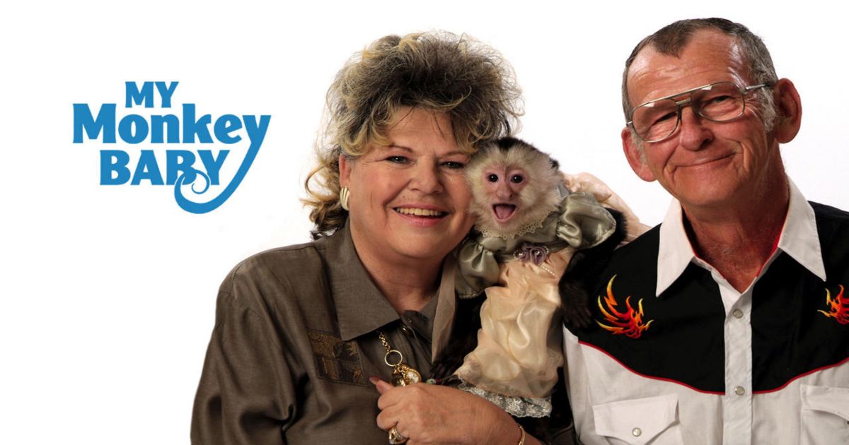 Netflix: The Downright Weirdest Hidden Oddities and Movies to Watch