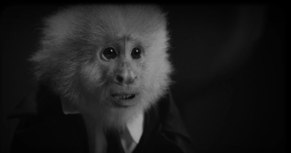 Netflix: The Downright Weirdest Hidden Oddities and Movies to Watch