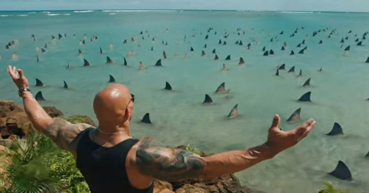 Discovery Channel: A Brief History of Shark Week