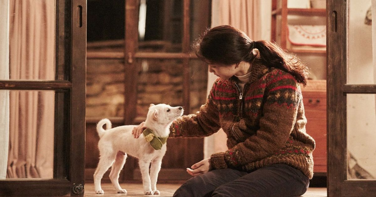 Best Movies Set in the Countryside, Ranked