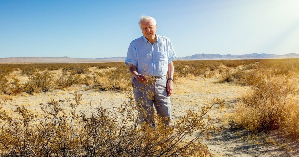 Best Recent Documentaries to Stream on Netflix, Ranked