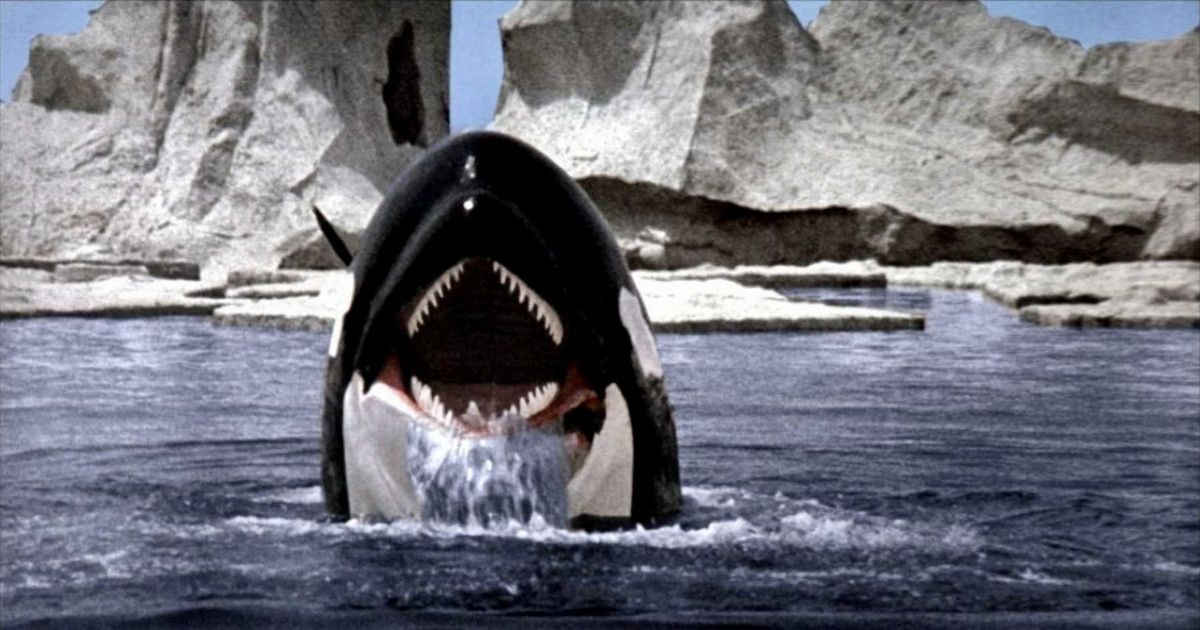 The Best Jaws Rip-Off Films, Ranked
