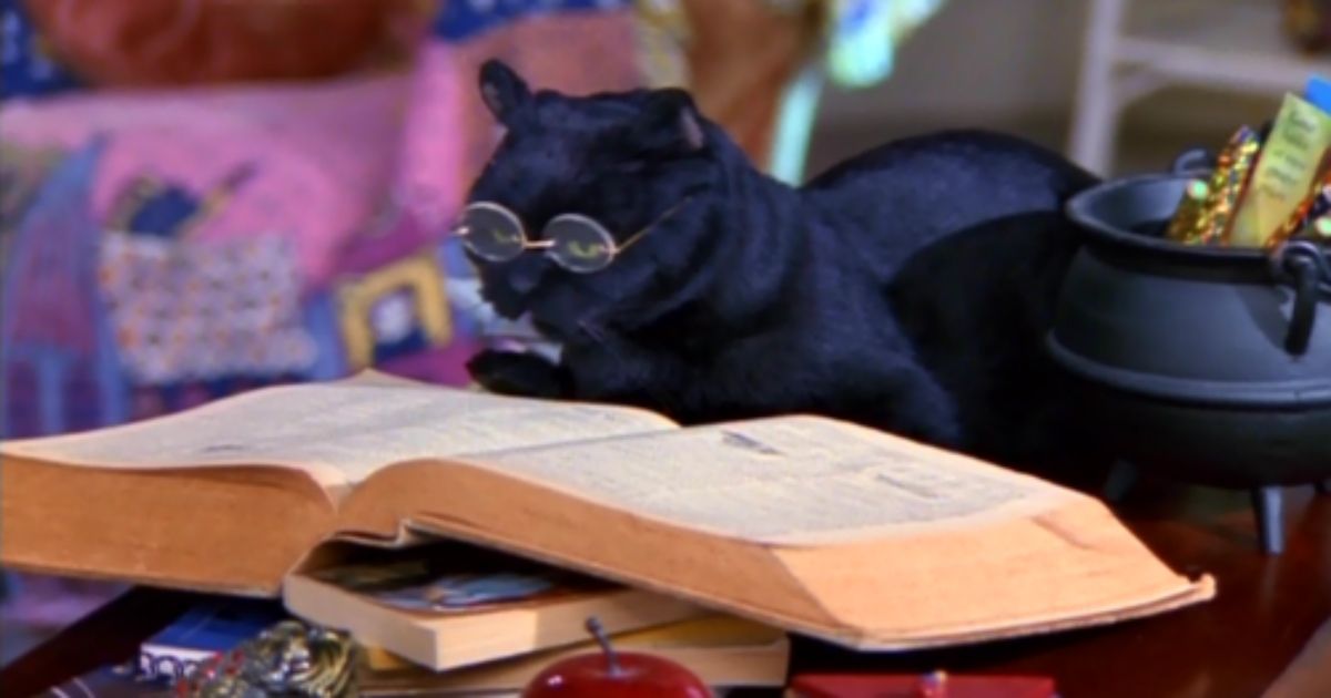 The Best Animal Main Characters in Movies, Ranked