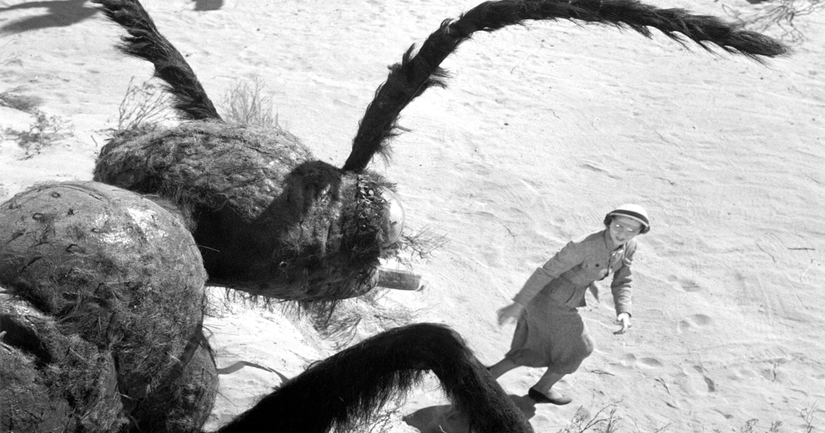 The Best Horror Movies About Killer Bugs, Ranked