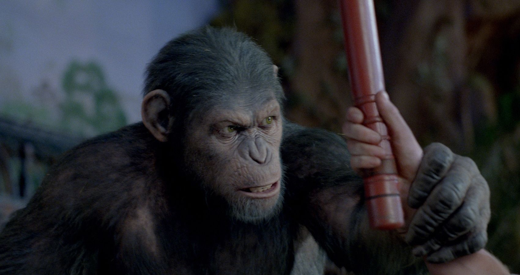 The Best Movies About Killer Apes & Monkeys, Ranked