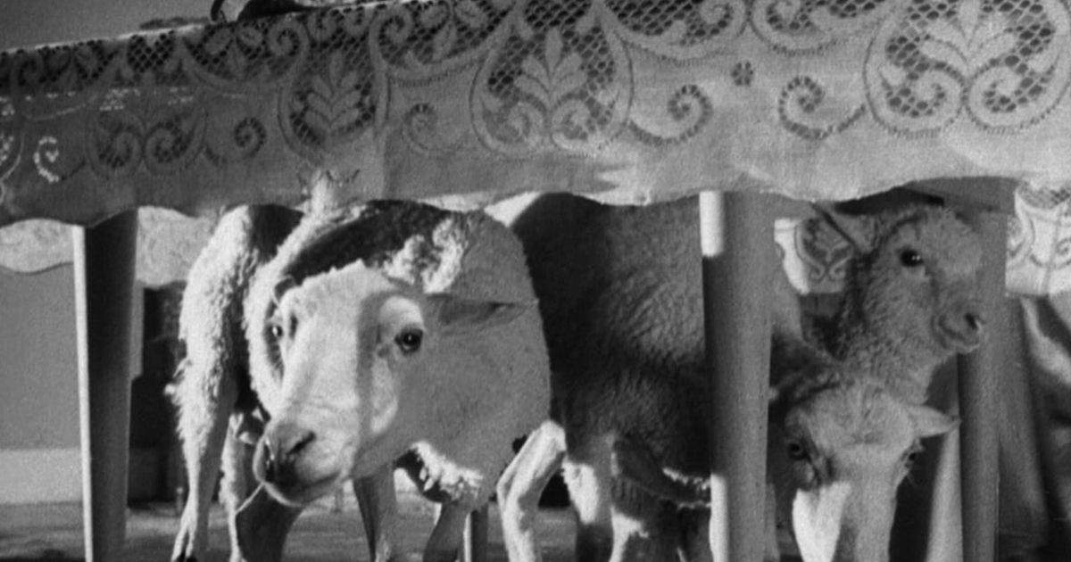 Best Luis Buñuel Films, Ranked