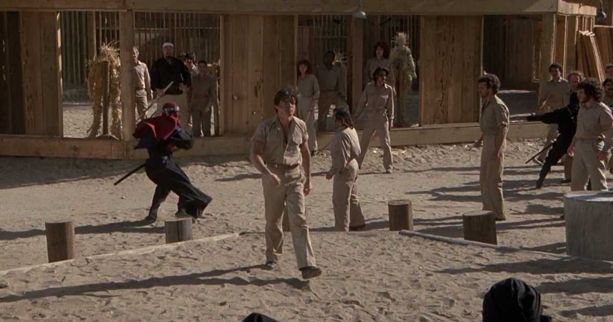 The Best Movies About Ninjas, Ranked