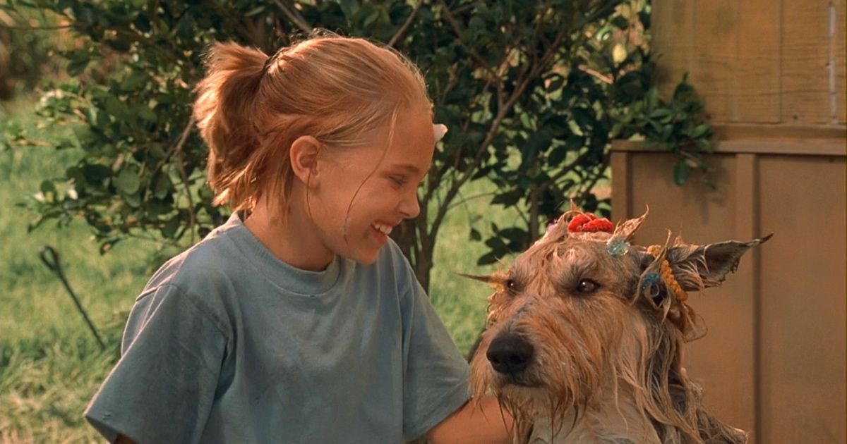 The Best Feel-Good Movies Set in the South, Ranked