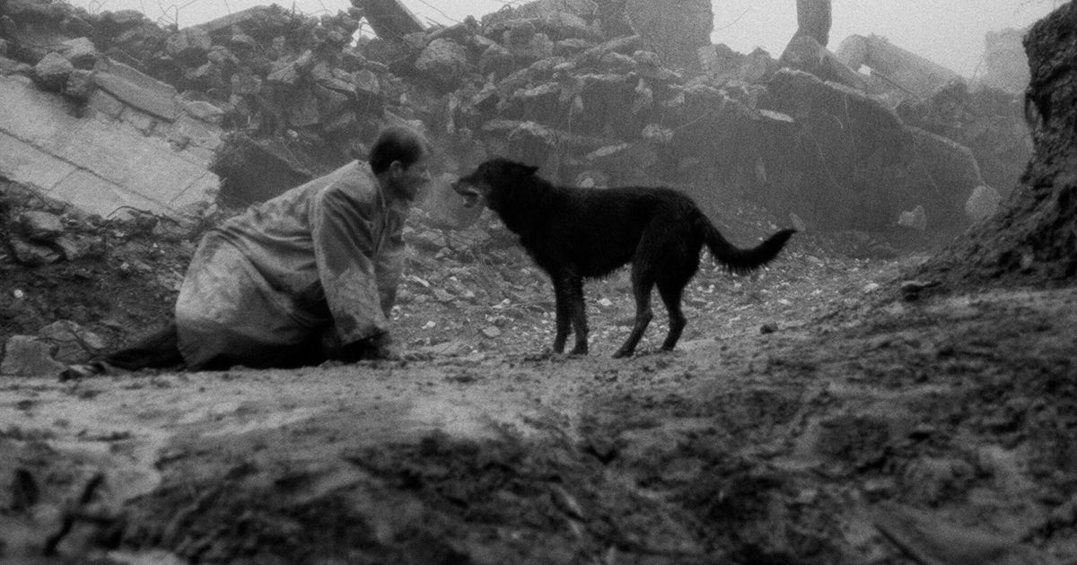 Best Béla Tarr Films, Ranked