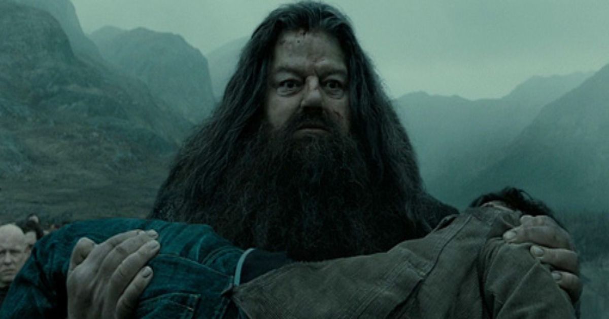 Harry Potter Moments - Hagrid's Hut (Ron/Harry/Hagrid/Hermione) (04 ...