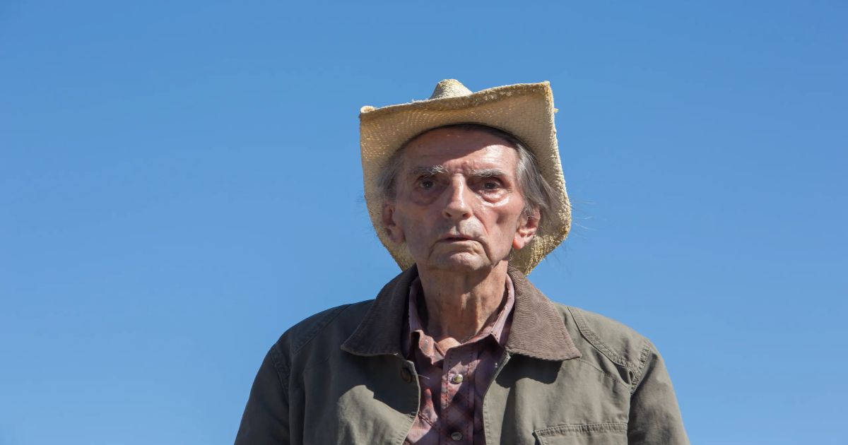 Harry Dean Stanton's Best Performances, Ranked