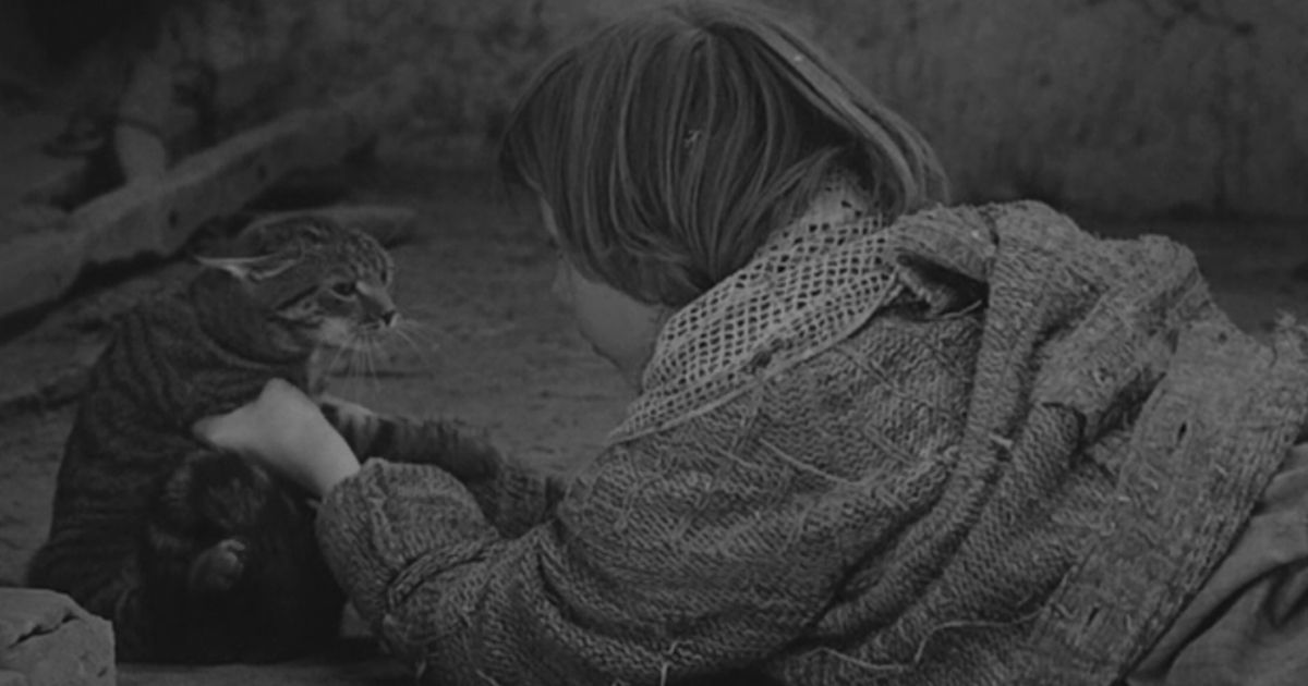 Best Béla Tarr Films, Ranked