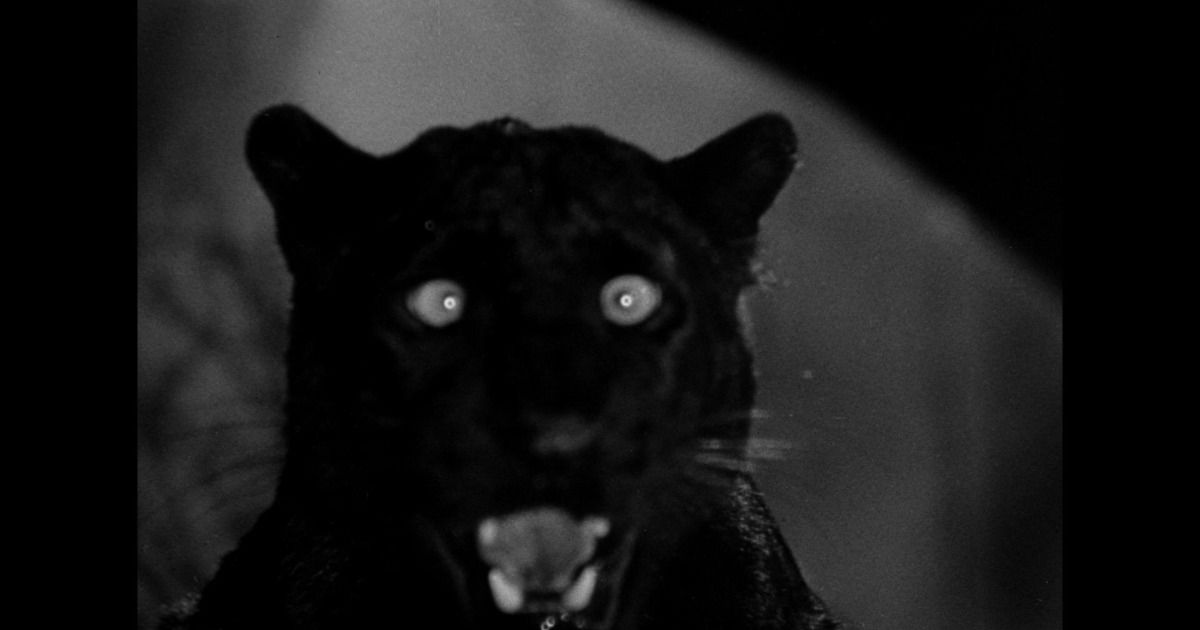 Best Val Lewton Horror Films, Ranked
