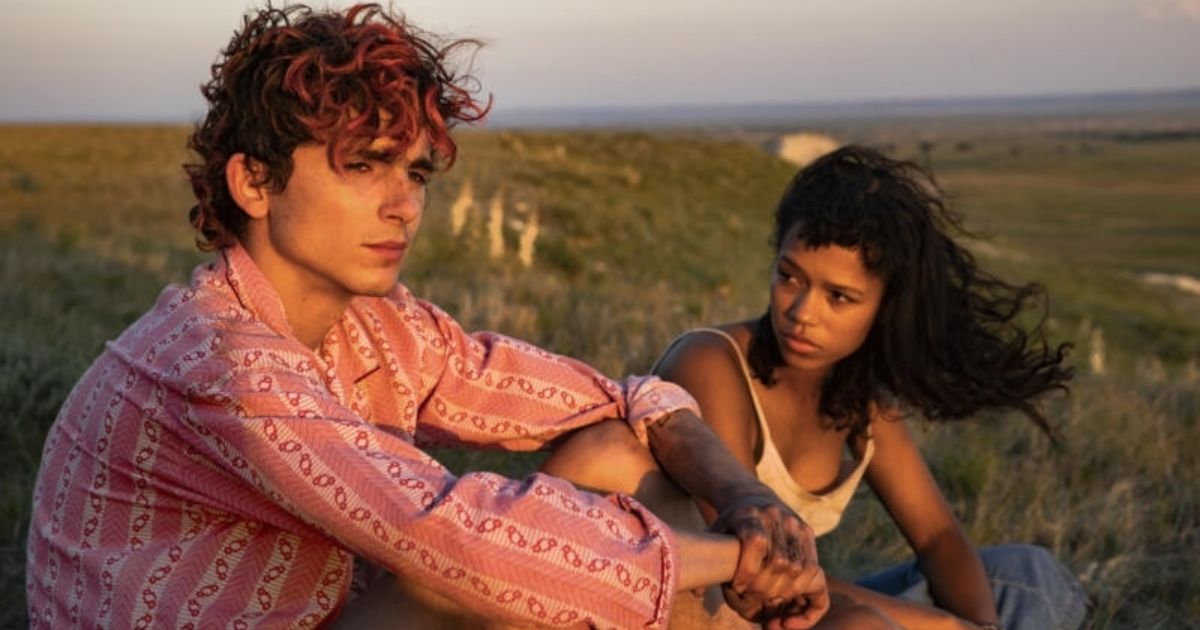 Timothée Chalamet’s 10 Best Movies, Ranked by Rotten Tomatoes