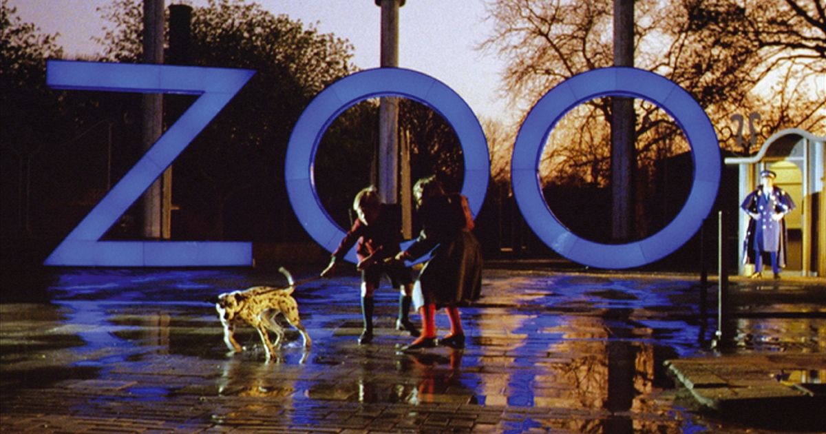 Best Peter Greenaway Films, Ranked