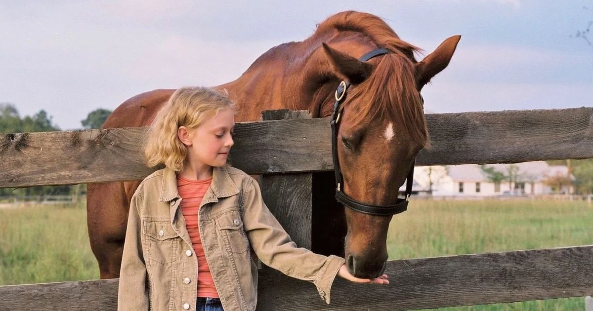 The Best All-Time Movies about Horses, Ranked