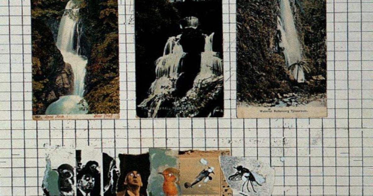 Best Peter Greenaway Films, Ranked