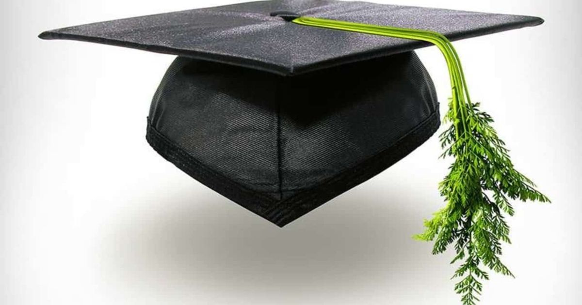 The Best Food Documentaries of All Time