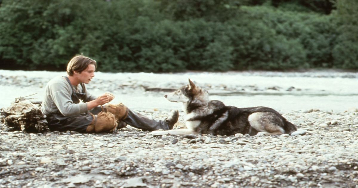 9 Movies Where the Dog Doesn’t Die