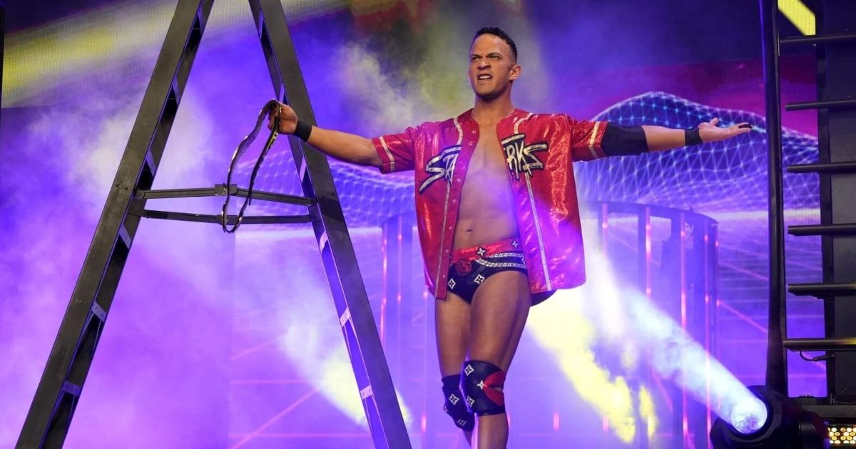 Top Pro Wrestlers Who Could Make an Impact in Hollywood