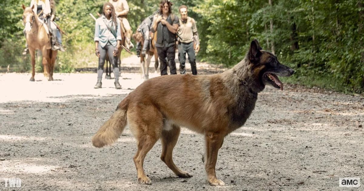 The Walking Dead Cast and Character Guide