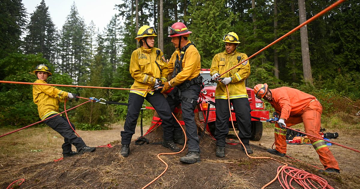 Fire Country: Why Procedural Fans Should Watch the CBS Series