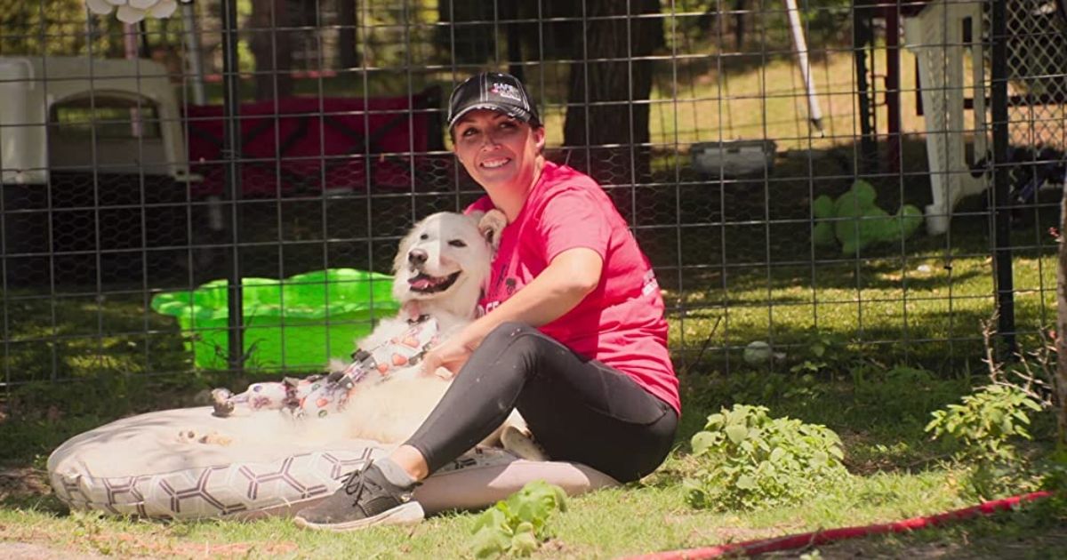 Queer Eye: The Most Heartwarming Episodes, Ranked