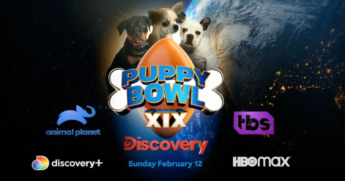 Animal Planet's Puppy Bowl Is Too Epic for One Network