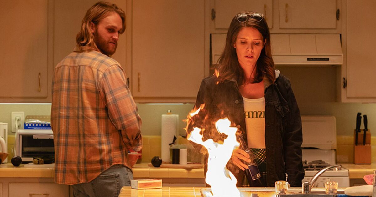 Lodge 49: Why the Mystery-Comedy Series Deserved More Seasons