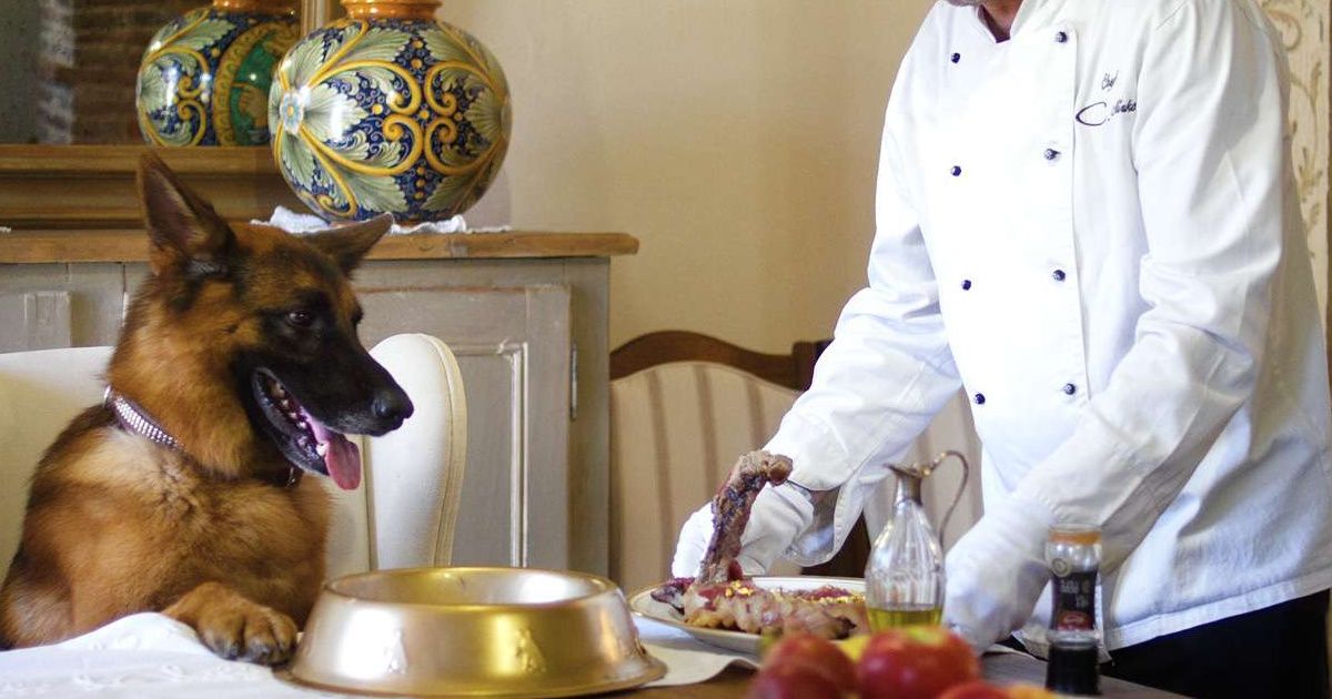 Netflix's Gunther’s Millions: Plot, Cast, Release Date, and Everything ...