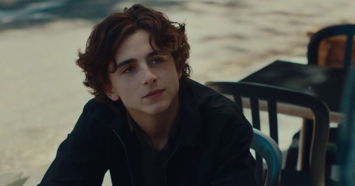 These Are the Best Timothee Chalamet Movies, Ranked