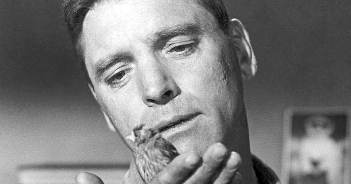 11 Movies That Got Prison Right