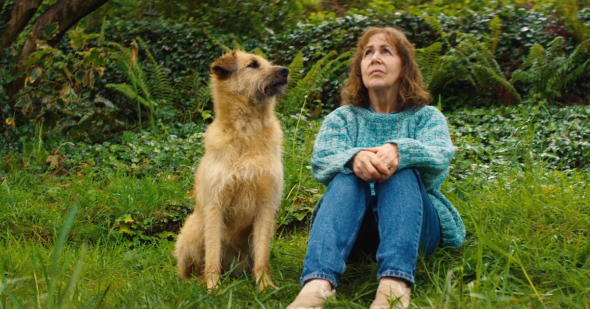 How the Róise & Frank Trailer Shows Love Reincarnated