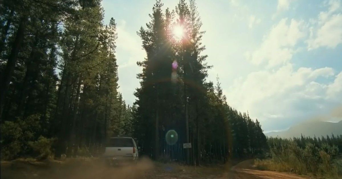 10 Creepy Movies That Take Place in a Forest