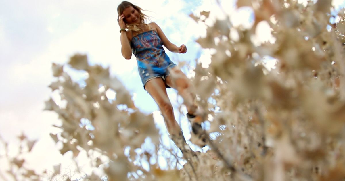 The Outwaters: Plot, Cast, Release Date, and Everything Else We Know