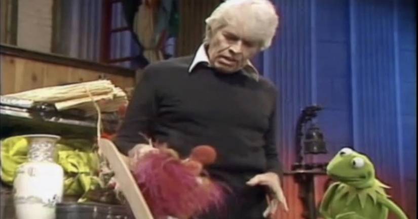 The 20 Best Guest Stars on The Muppet Show, Ranked