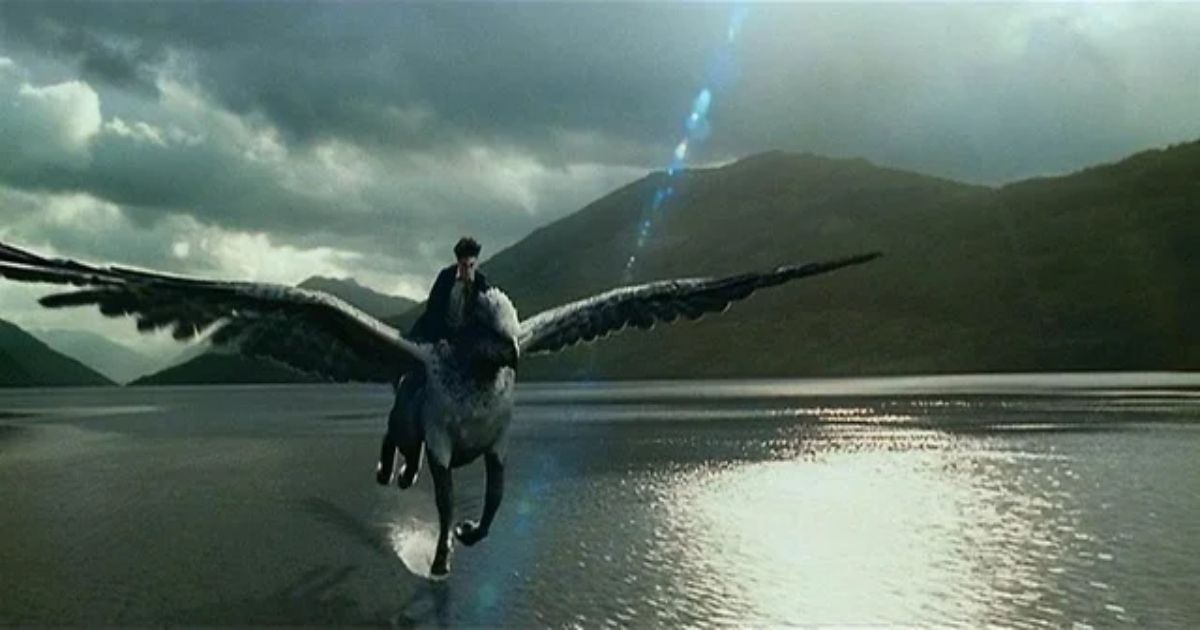 14 Small Details in the Harry Potter Movies That Mean the World to the ...