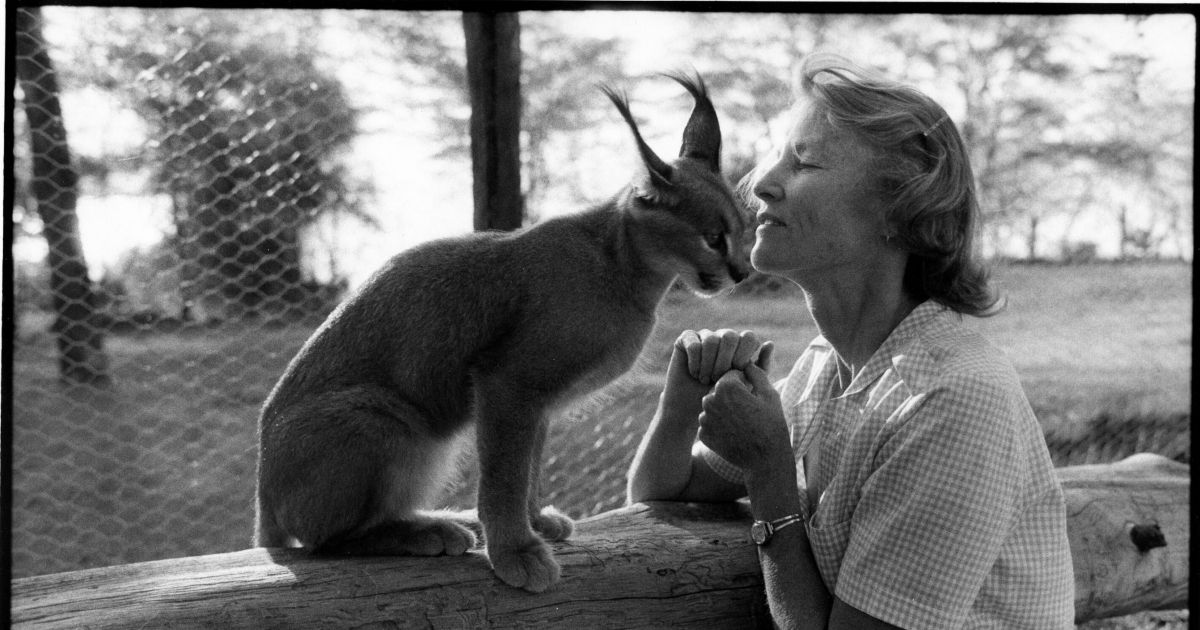 Directors Who Were Murdered or Imprisoned for Their Films