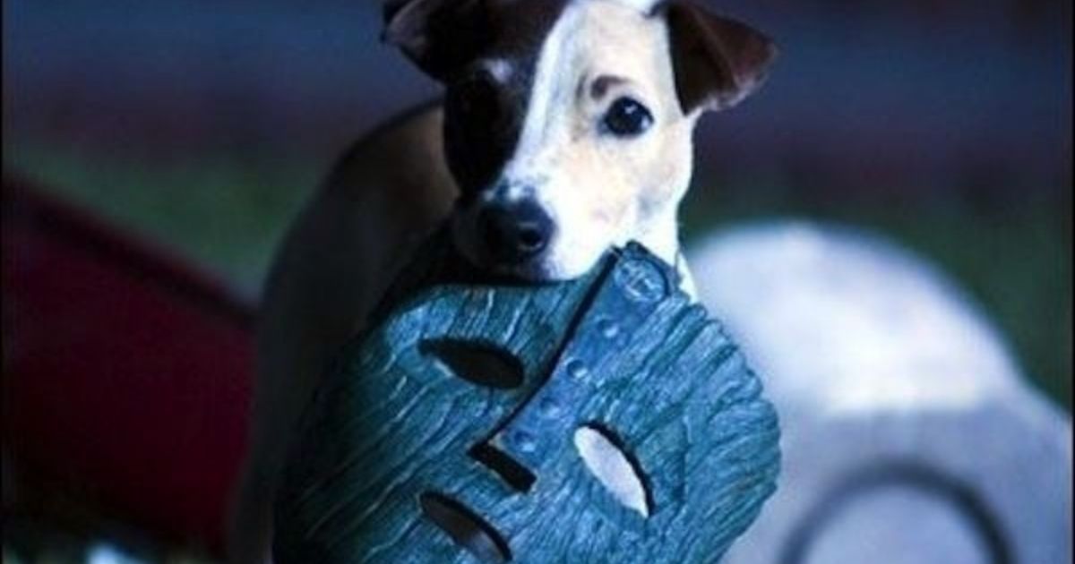 Why Audiences Prefer People Dying in Movies Rather Than Animals