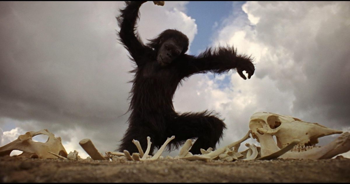 11 Essential Movies to Watch if You Consider Yourself a Movie Lover