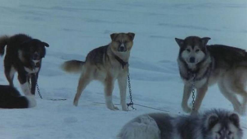 The Best Movies and TV Shows Set in the Arctic and Antarctic