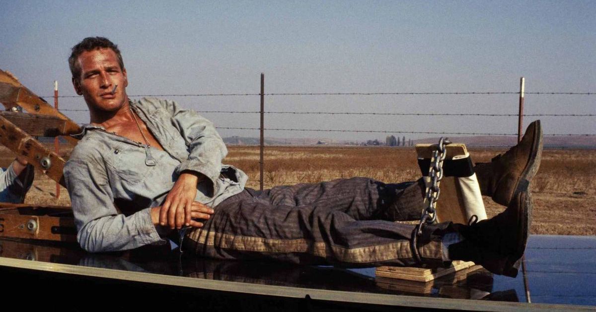 The Best Movies Set In Florida, Ranked