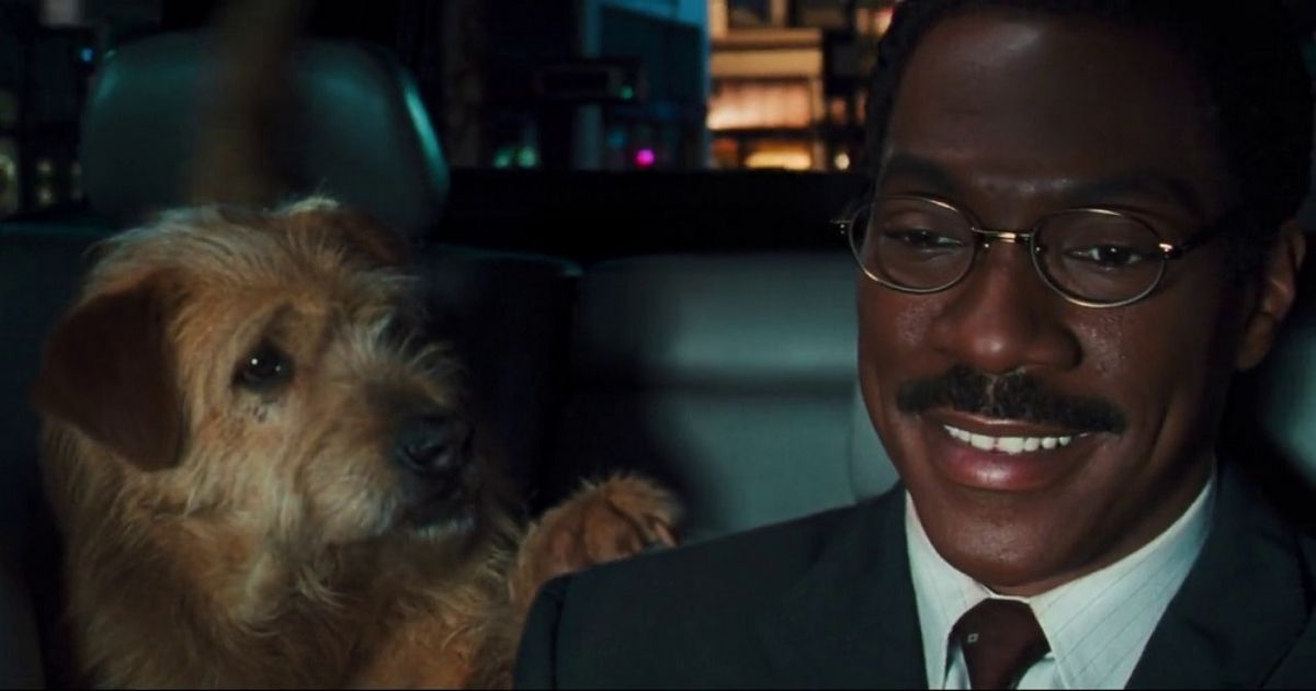 The 11 Most Essential Eddie Murphy Moments In Movies, Ranked